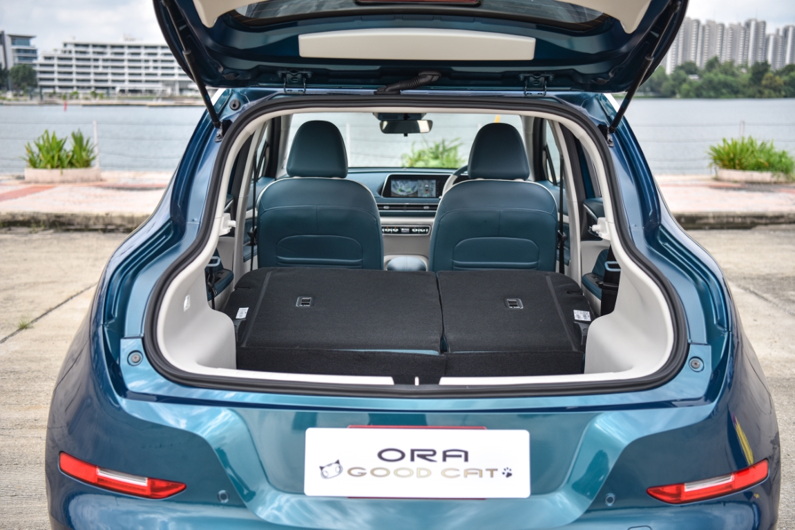 ORA-Good-Cat_Interior-6 – Flashfly Dot Net