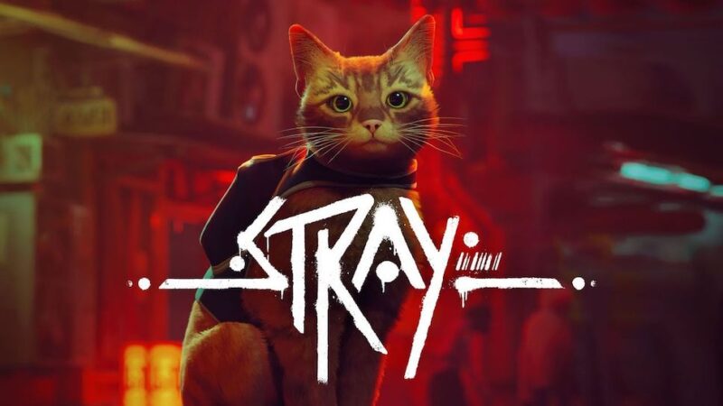 Stray เกมแมวผจญภัยยอดนิยม จะป้อนให้เล่นบน Mac ในเร็วๆ นี้ – Flashfly Dot Net
